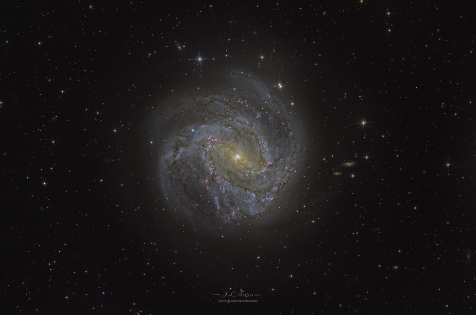 M83 The Southern Pinwheel Galaxy | Telescope Live